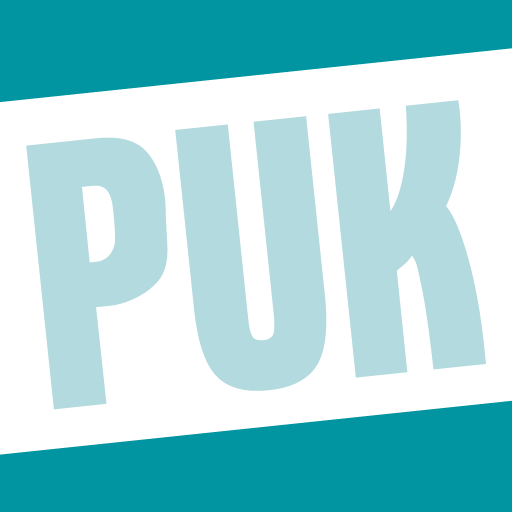Die Budget-Rede der PUK für 2025 | PUK